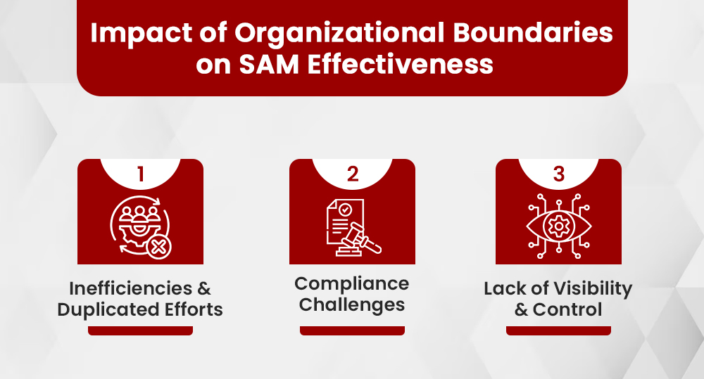 Powerful Strategies to Implement SAM in an Organization